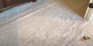 How to Fix Carpet Ripples: Discover Quick Solutions