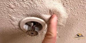 How to Restore Particle Board after Water Damage: Expert Guide