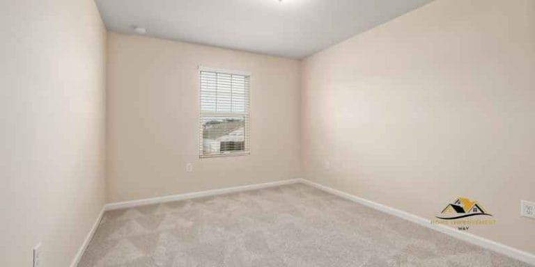 Paint Color With Beige Carpet: Transform Your Space with Vibrant Hues