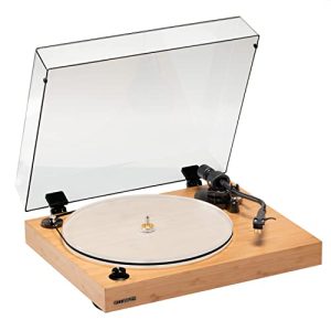 Best Wood for Turntable Plinth: Enhance Your Vinyl Listening Experience ...