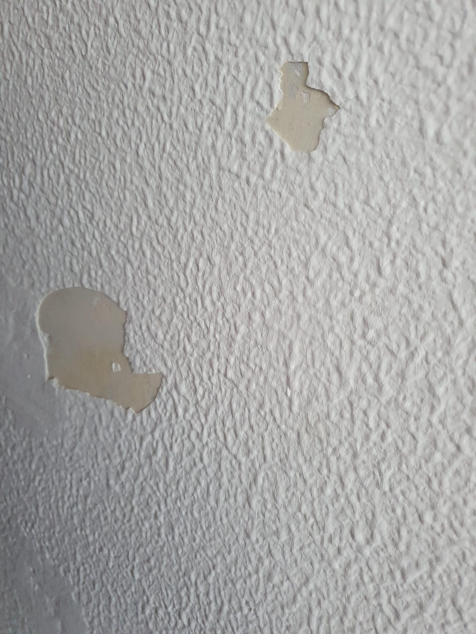 How Much Does It Cost to Fix the Chipped Paint on My Wall? – Home ...