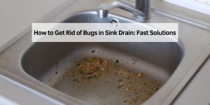 How to Get Rid of Bugs in Sink Drain: Fast Solutions