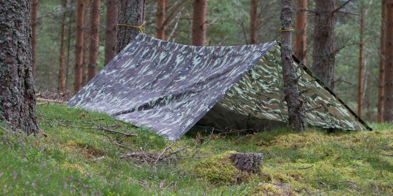 Building an A-Frame Tarp Shelter: Your Guide to a Simple, Sturdy ...