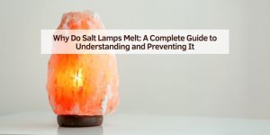 Why Do Salt Lamps Melt: A Complete Guide to Understanding and Preventing It