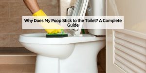 Why Does My Poop Stick to the Toilet? A Complete Guide