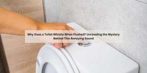 Why Does a Toilet Whistle When Flushed? Unraveling the Mystery Behind ...