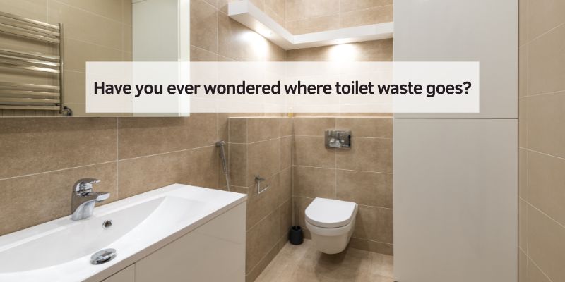Have you ever wondered where toilet waste goes?
