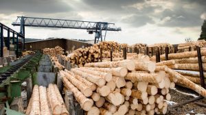Sawmill Vs Lumber Mill: Key Differences Explained
